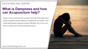 Dampness – Everything you need to know