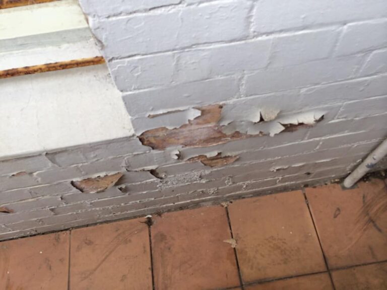 Dampness – Everything you need to know