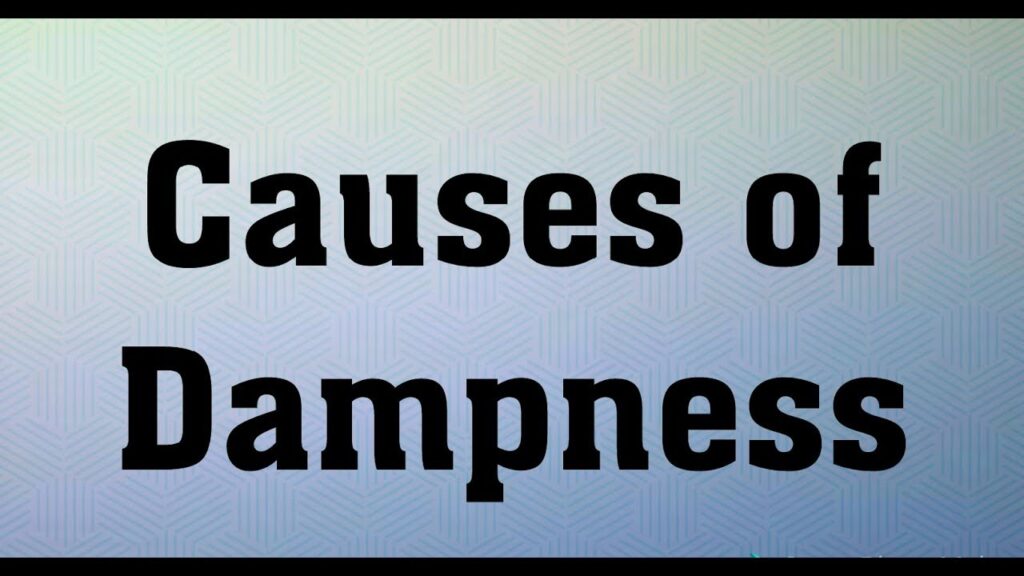 Dampness – Everything you need to know