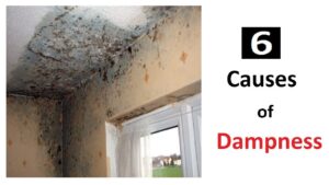 Dampness – Everything you need to know