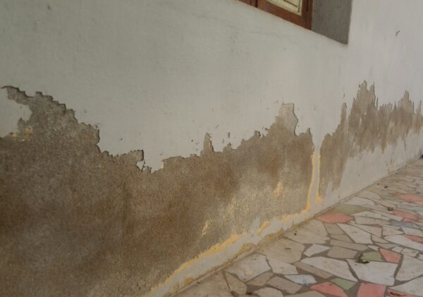 Dampness – Everything you need to know